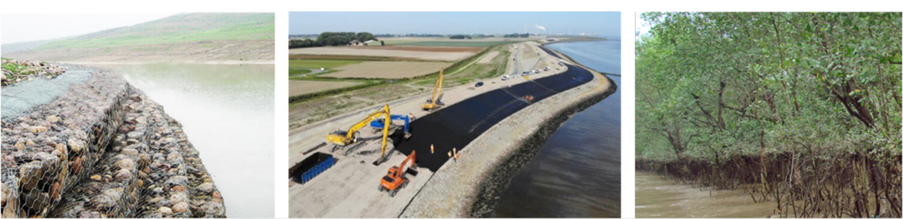 How investing in Mangroves and Sea Walls today could reduce Vietnam's ...