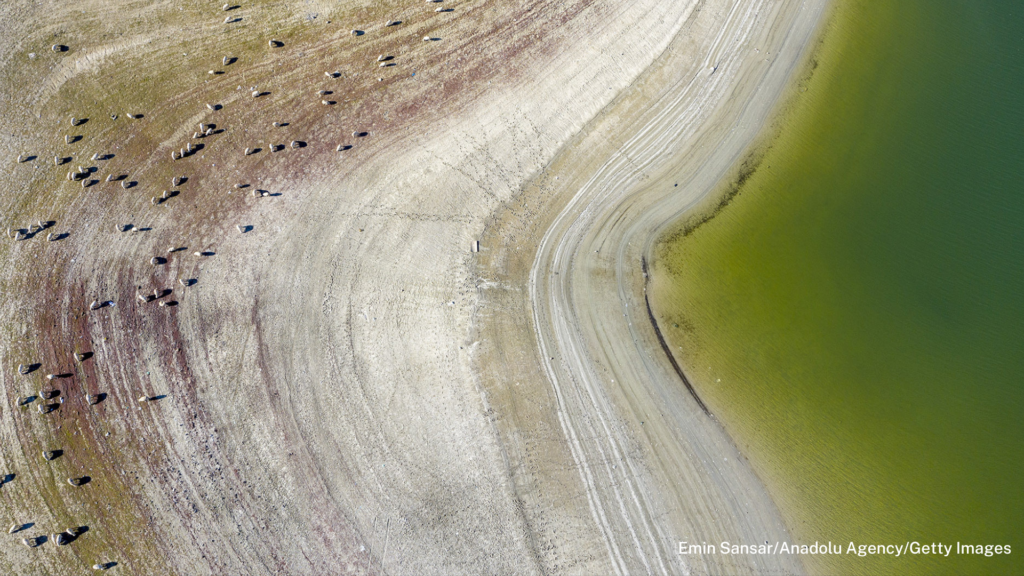 Why Should Water Stewardship Go Beyond ESG Strategy? - AXA Climate