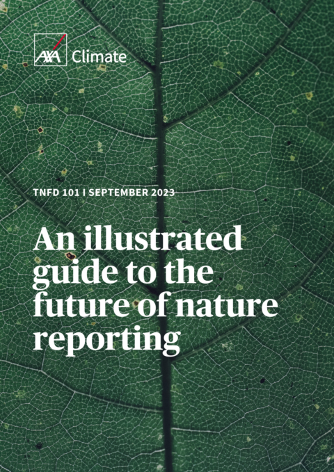 TNFD 101: An illustrated guide to the future of nature reporting - AXA ...