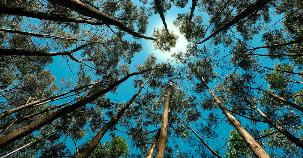 AXA Climate supports FnB Private Equity for its Article 9 fund launch