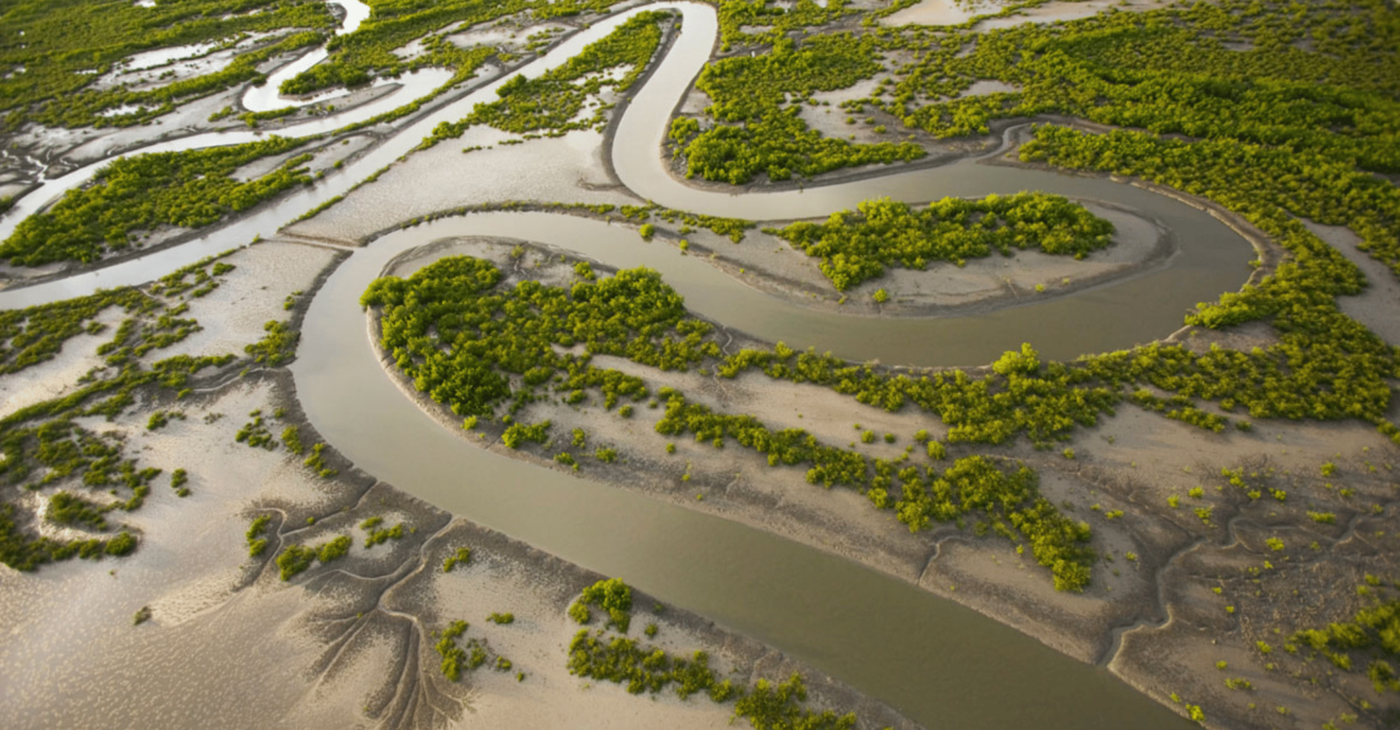 How to avoid the pitfalls of climate insurance? - AXA Climate