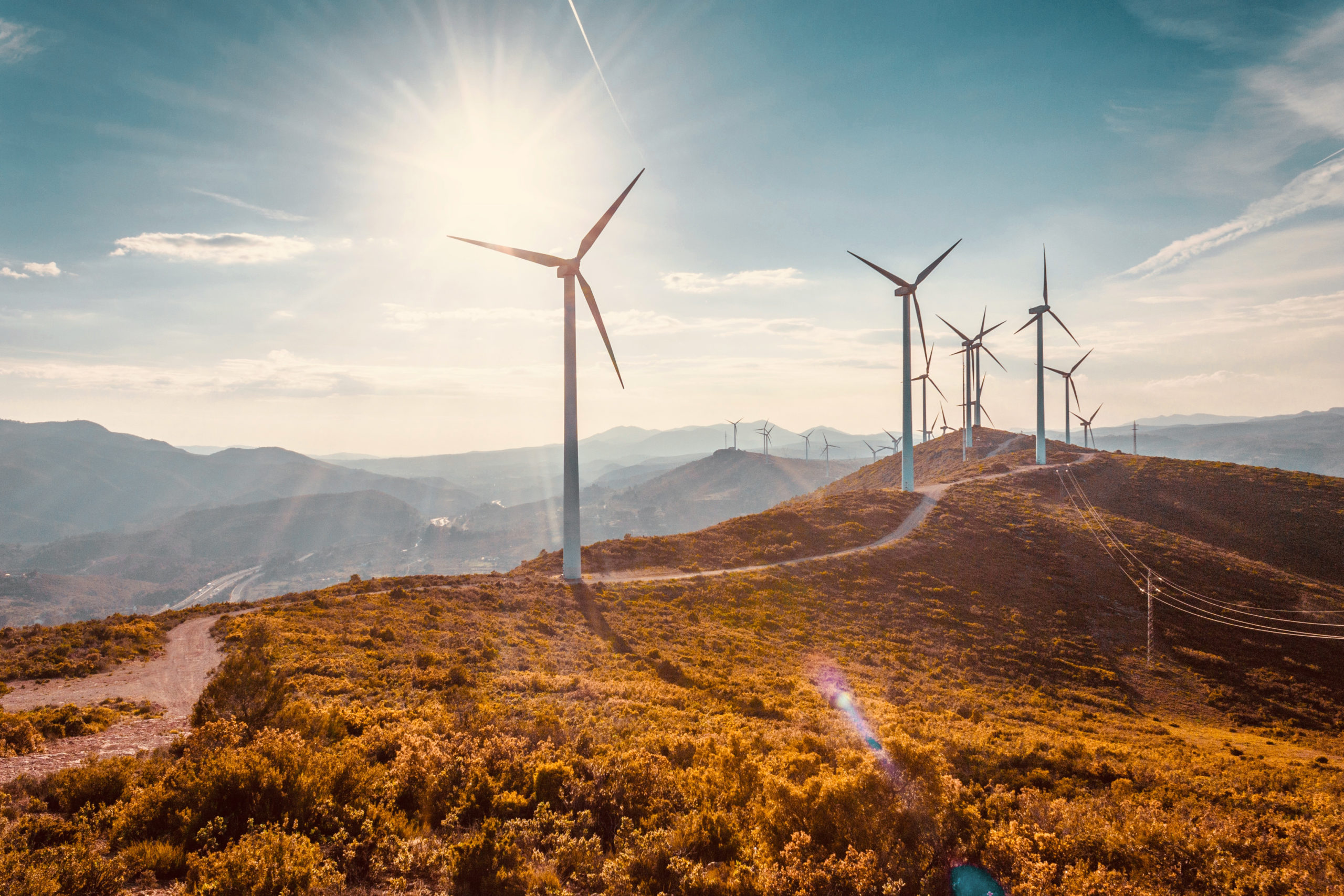 Marie-Anne Vincent joins AXA Climate as Head of Sustainable Finance